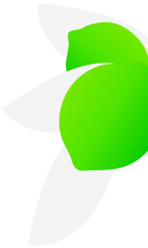 Channels - Lime Factory